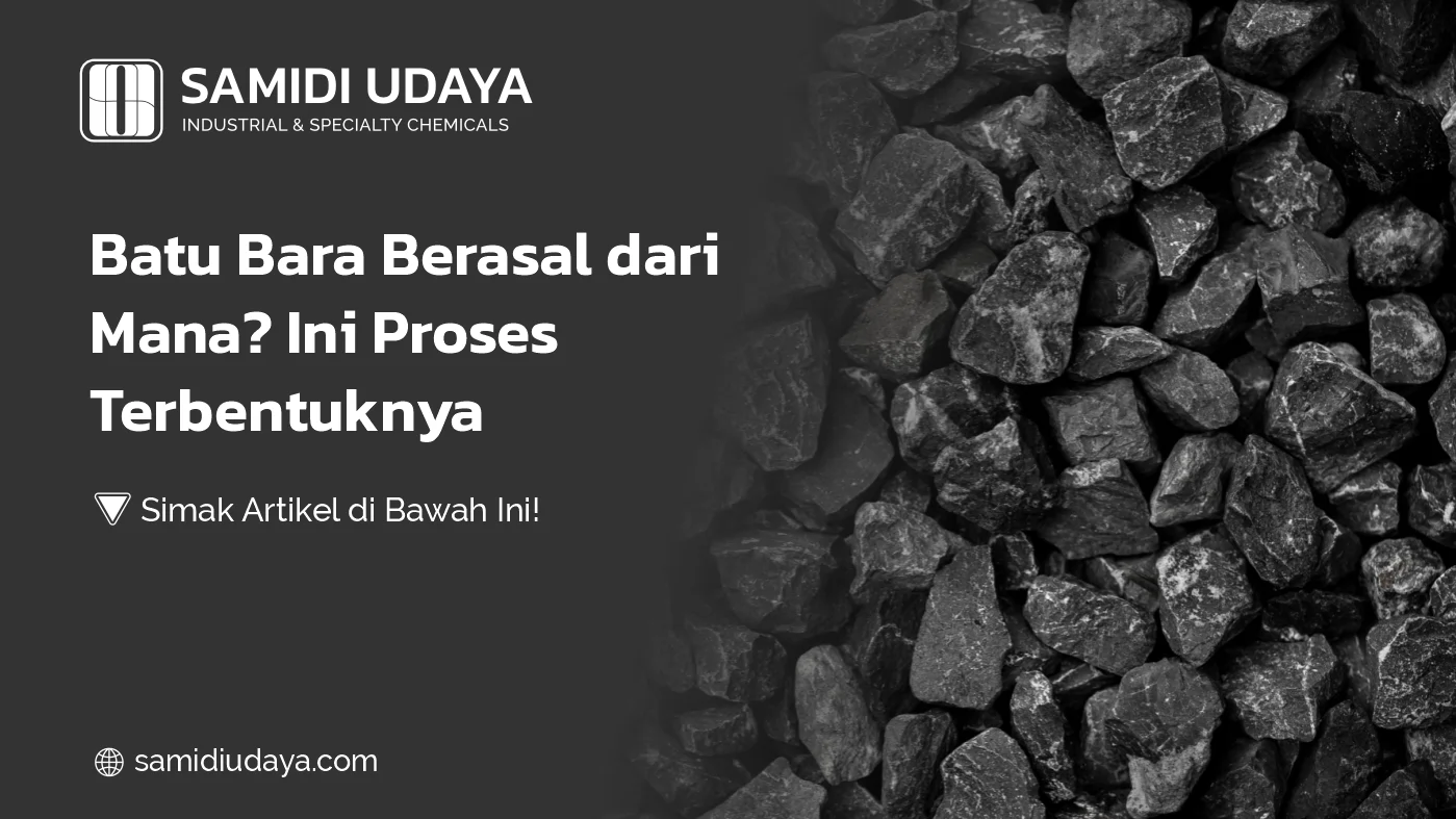 Batu Bara Berasal dari Mana? Ini Proses Terbentuknya - Samidi Udaya